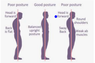 Treatment and management for good spine health